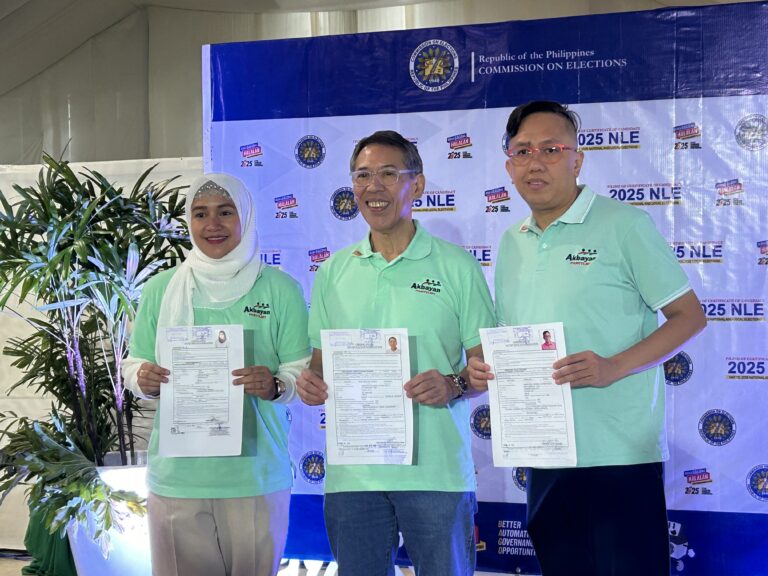 Chel Diokno formalizes House seat bid